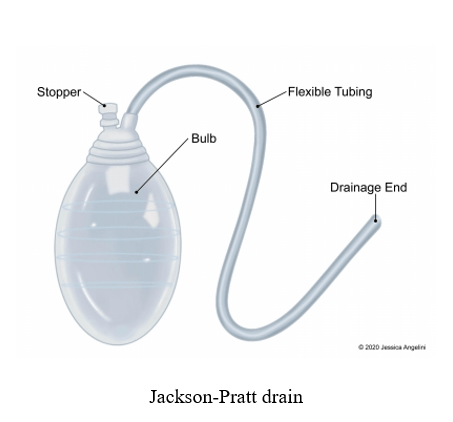 Identifying the Different Types of Wound Drainage ...